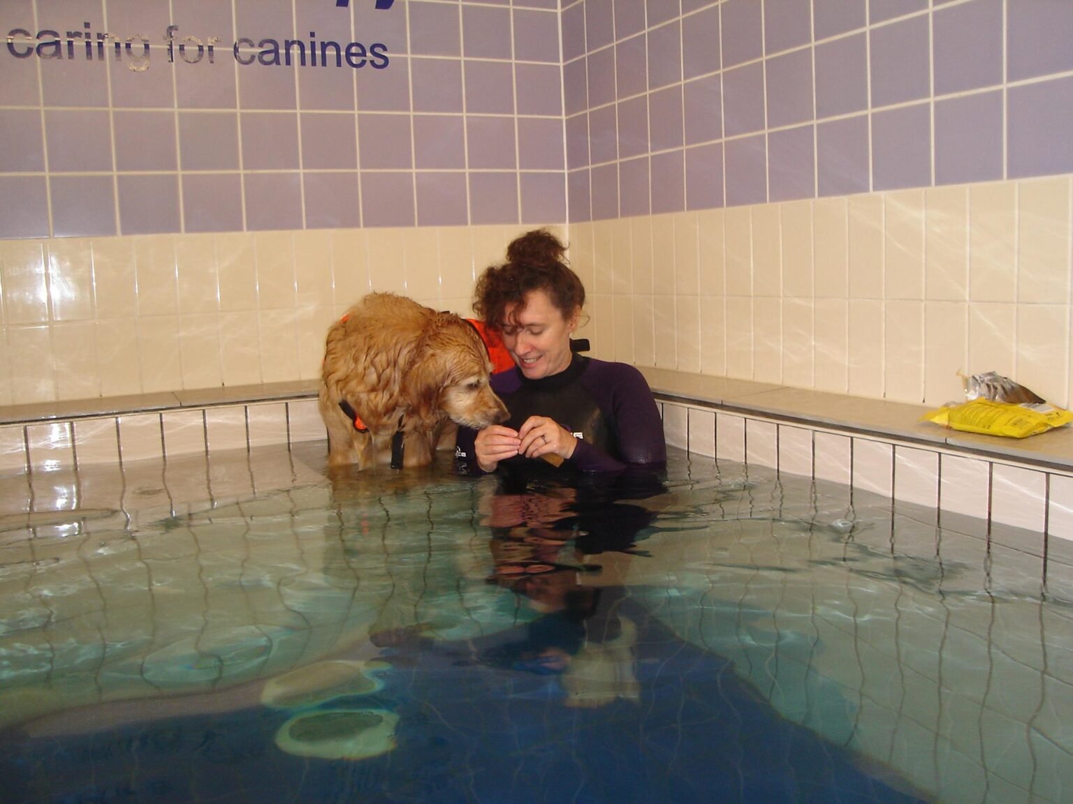 Canine Hydrotherapy Reading - CS Hydro Physio Ltd