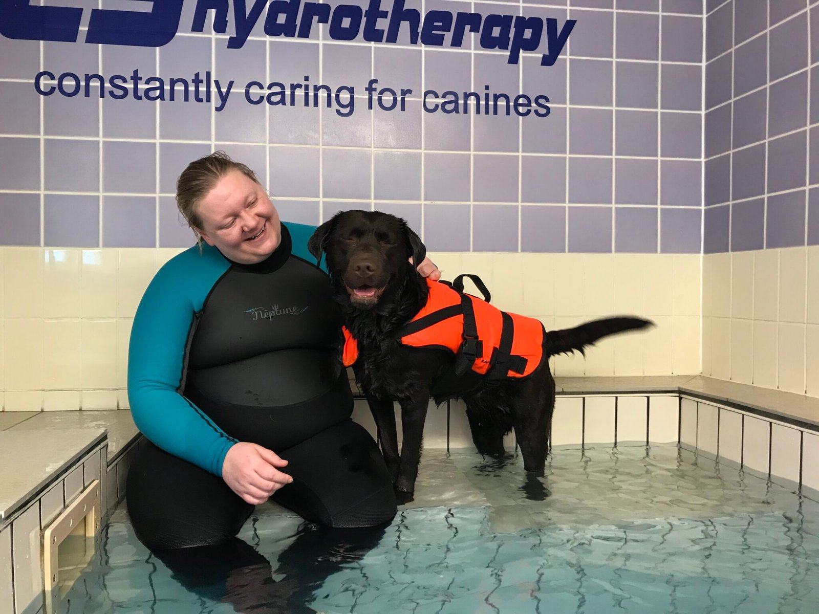 Canine Hydrotherapy Reading - CS Hydro Physio Ltd